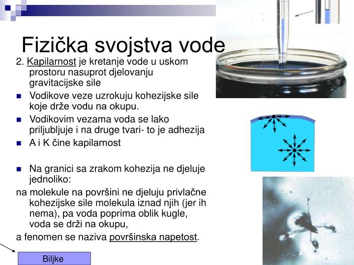 PPT - Kemijska osnova živoga svijeta PowerPoint Presentation - ID:850682