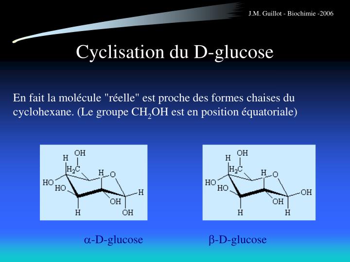 PPT - BIOCHIMIE PowerPoint Presentation - ID:851060