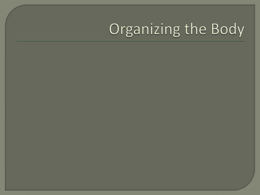 PPT - “Living things have heads, bodies, and tails…. speeches are ...