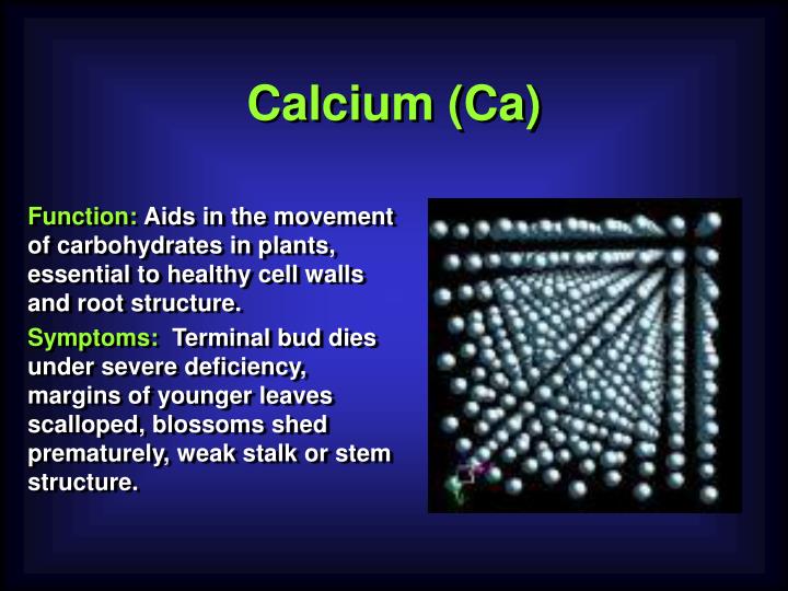 PPT - Nutrients Essential for Plant Growth PowerPoint Presentation - ID ...