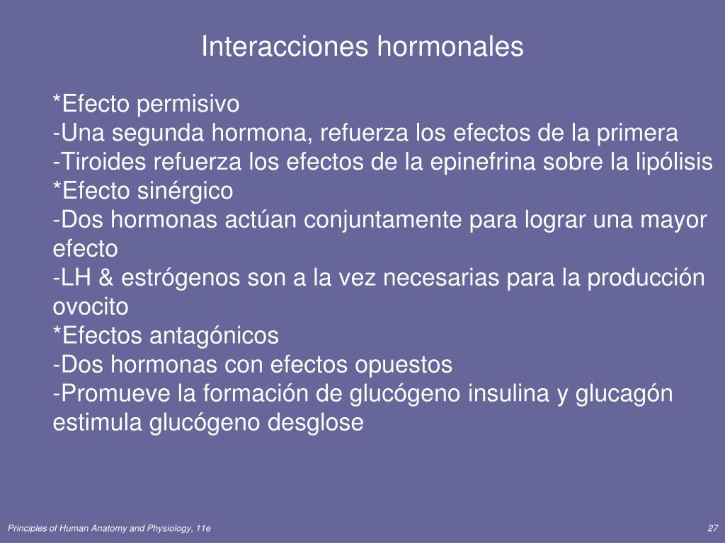 Ppt Capítulo 18 Powerpoint Presentation Free Download Id 852705