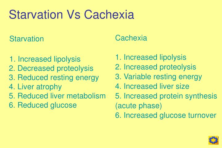 PPT - The patients who isn’t eating: Cachexia or Starvation PowerPoint ...