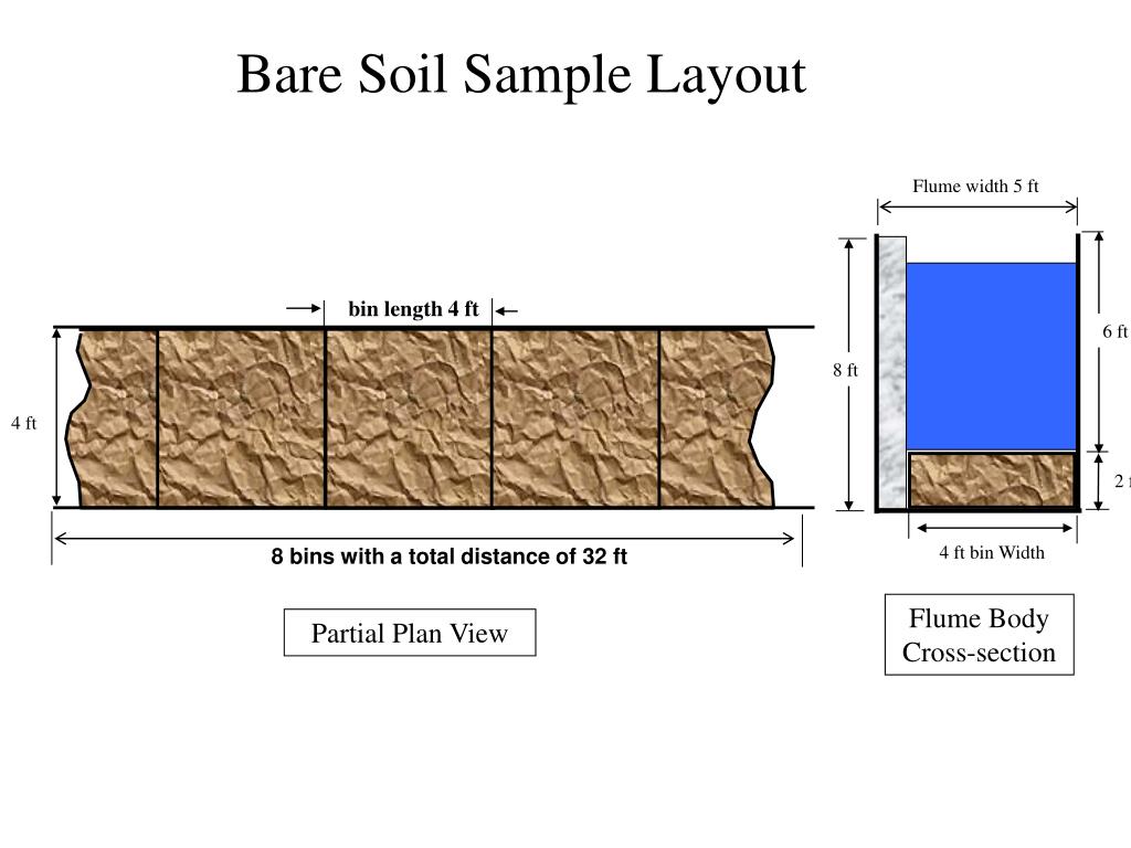 PPT - STUDY OF THE ROUGHNESS CHARACTERISTICS OF PLANT SPECIES IN ...