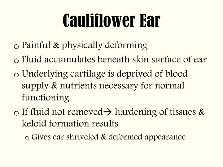 PPT - Skin Wounds Classification PowerPoint Presentation - ID:853573
