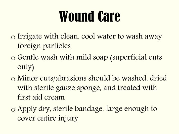 PPT - Skin Wounds Classification PowerPoint Presentation - ID:853573