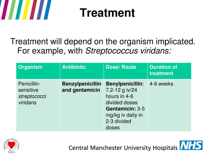 PPT - (Insert Witty Title Here) PowerPoint Presentation - ID:853850