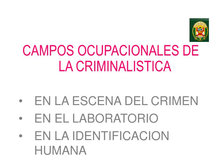 PPT - CRIMINALISTICA PowerPoint Presentation - ID:854023