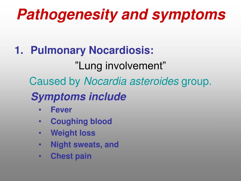 PPT - The Islamic University- Gaza Report about Nocardia spp . Prepared ...