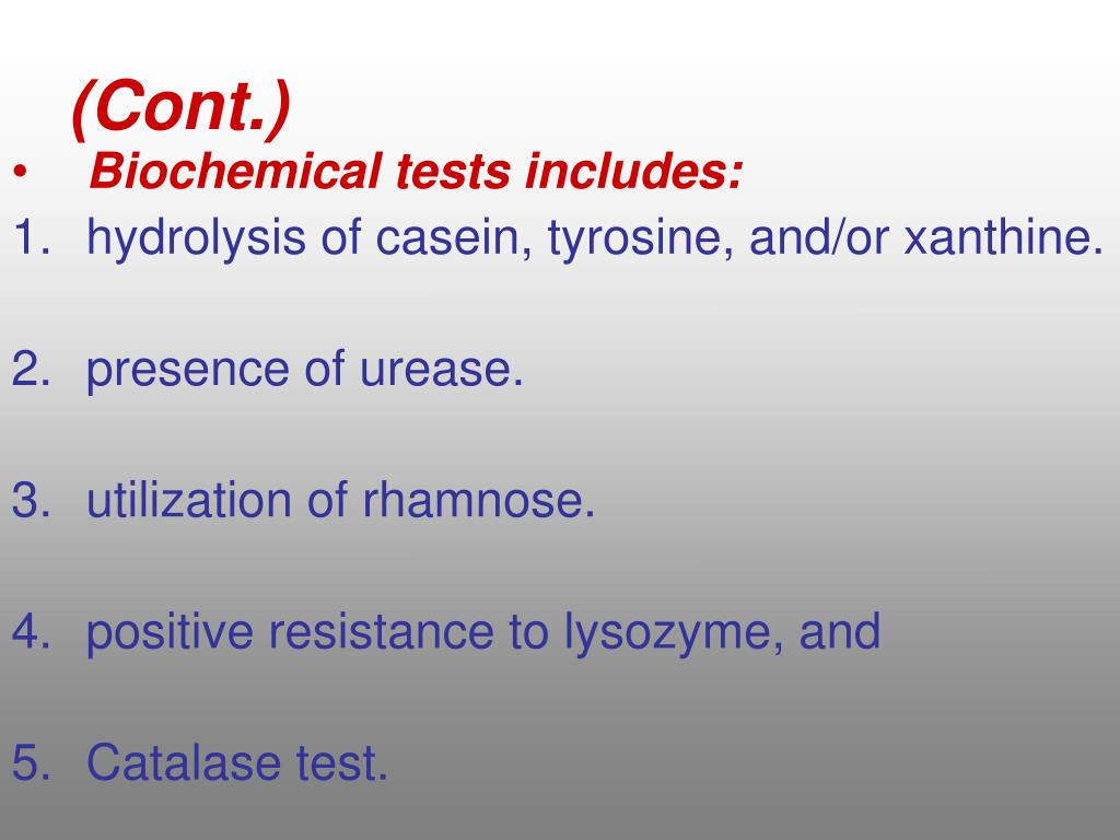 PPT - The Islamic University- Gaza Report about Nocardia spp . Prepared ...