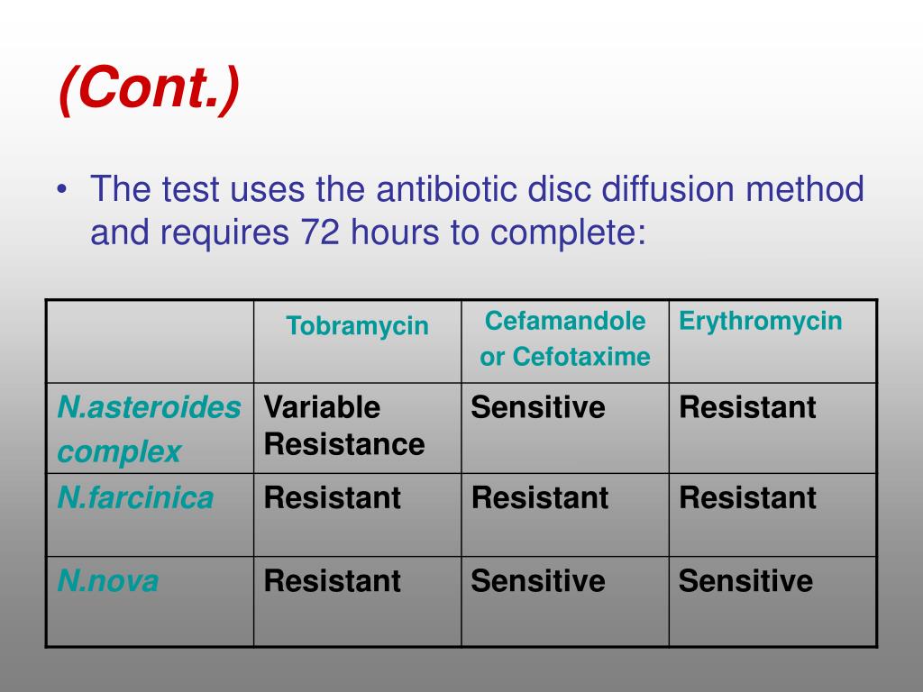 PPT - The Islamic University- Gaza Report about Nocardia spp . Prepared ...
