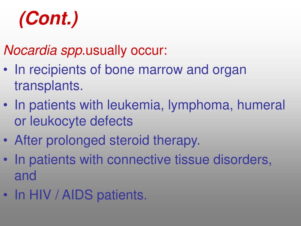PPT - The Islamic University- Gaza Report about Nocardia spp . Prepared ...