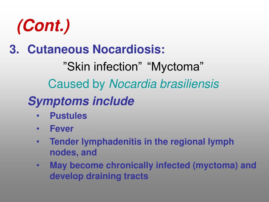 PPT - The Islamic University- Gaza Report about Nocardia spp . Prepared ...