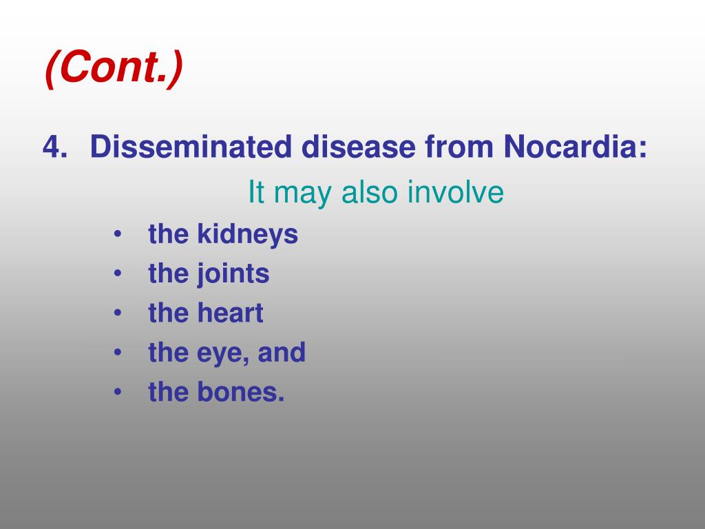 PPT - The Islamic University- Gaza Report about Nocardia spp . Prepared ...