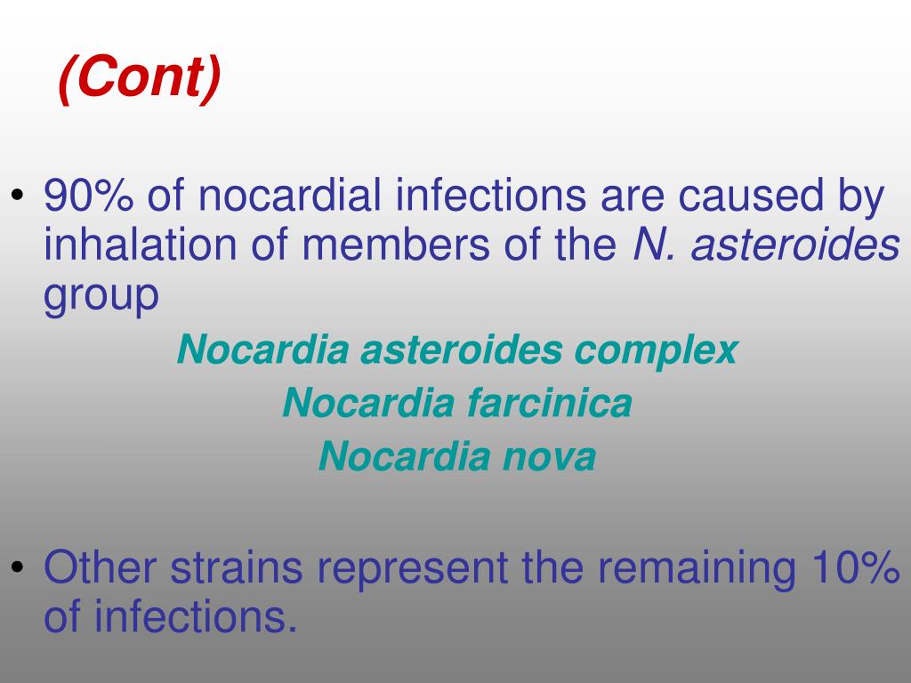 PPT - The Islamic University- Gaza Report about Nocardia spp . Prepared ...