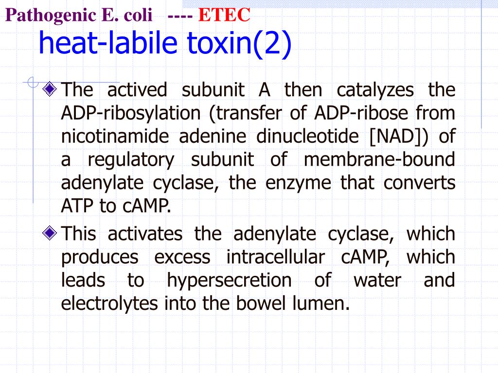 PPT - 病原生物学教研室 Department of pathogenic Biology of Gannan Medical ...