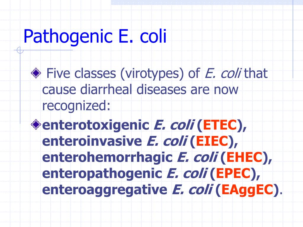 PPT - 病原生物学教研室 Department of pathogenic Biology of Gannan Medical ...