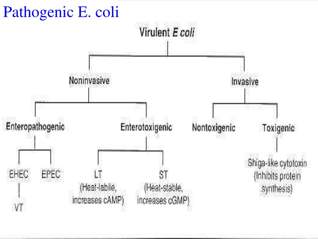 PPT - 病原生物学教研室 Department of pathogenic Biology of Gannan Medical ...