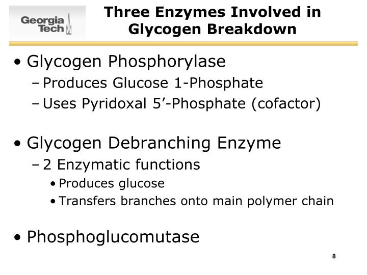 PPT - SURVEY OF BIOCHEMISTRY Glycogen PowerPoint Presentation - ID:855457