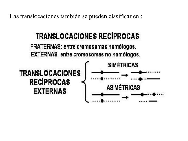 PPT - Tema 15.- ANOMALÍAS CROMOSÓMICAS ESTRUCTURALES: TRANSLOCACIONES ...