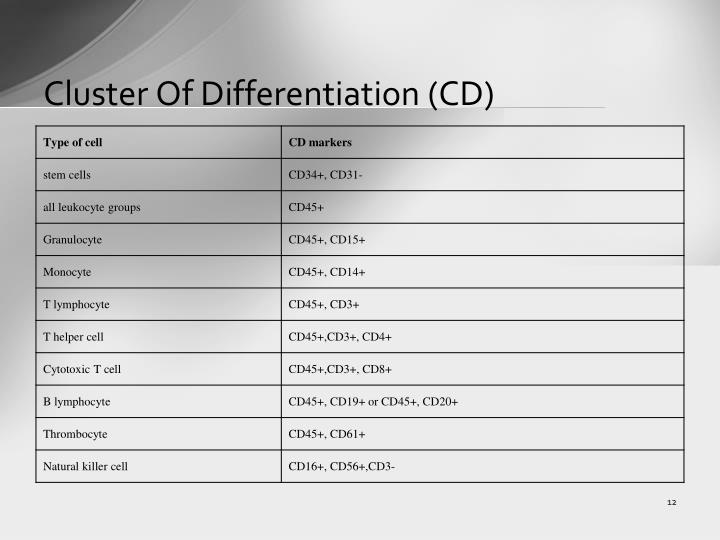 PPT - Cell-cell interaction PowerPoint Presentation - ID:858710
