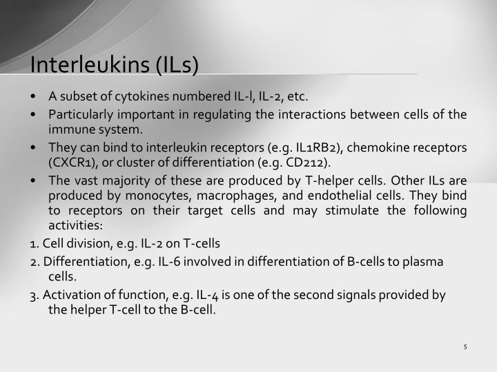 PPT - Cell-cell interaction PowerPoint Presentation - ID:858710