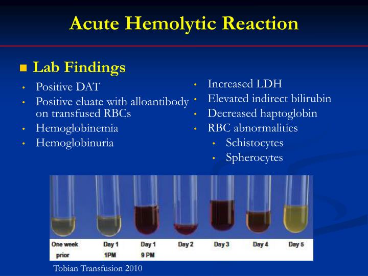 PPT - New Approaches to Preventing Transfusion Reactions PowerPoint ...