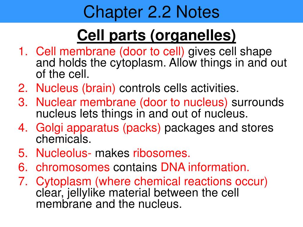 PPT - Chapter #2 PowerPoint Presentation, free download - ID:862172