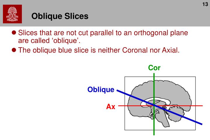 PPT - Basic Anatomy PowerPoint Presentation - ID:862793