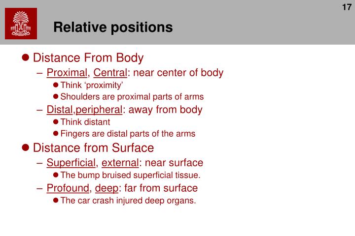 PPT - Basic Anatomy PowerPoint Presentation - ID:862793