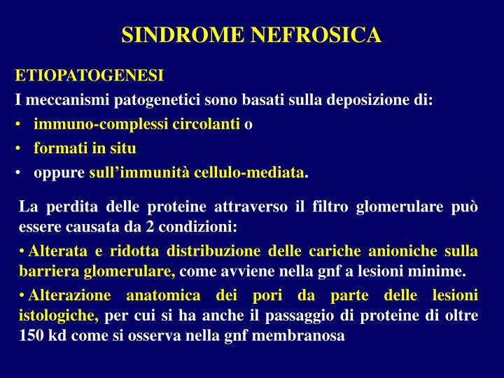 PPT - SINDROME NEFROSICA PowerPoint Presentation - ID:863895