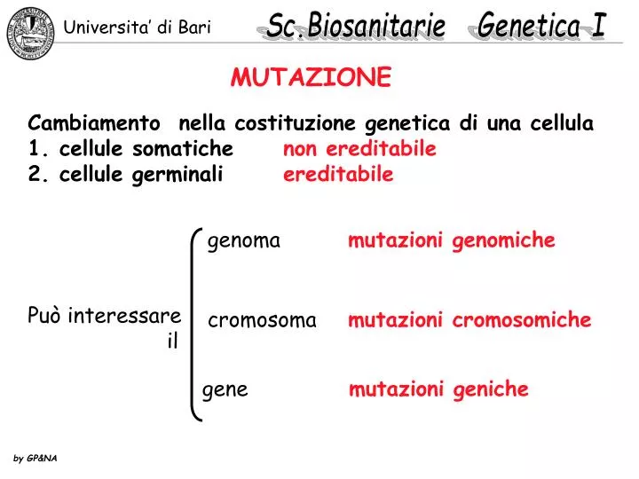 PPT - MUTAZIONE PowerPoint Presentation, free download - ID:863996