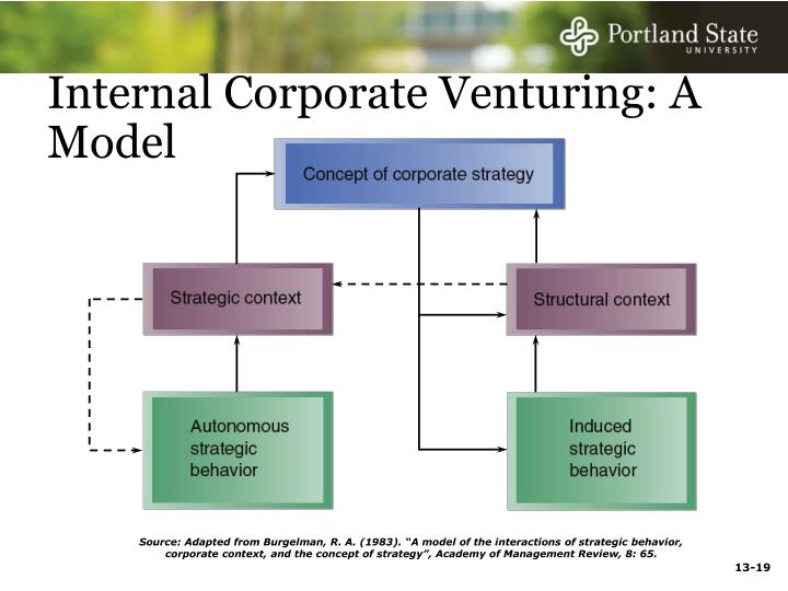 PPT - Chapter 13 – Strategic Entrepreneurship PowerPoint Presentation ...