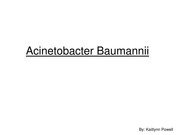 PPT - Acinetobacter Baumannii PowerPoint Presentation, free download ... PPT - Acinetobacter Baumannii PowerPoint Presentation, free download ...
