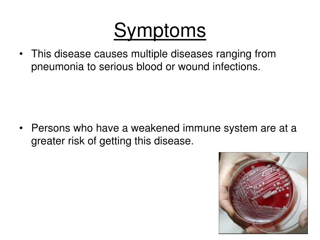 PPT - Acinetobacter Baumannii PowerPoint Presentation, free download ... PPT - Acinetobacter Baumannii PowerPoint Presentation, free download ...