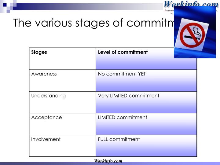 PPT - Workforce & Succession Planning PowerPoint Presentation - ID:865481