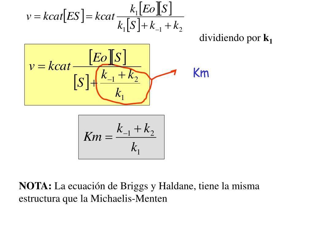 PPT - Tema-11 INTRODUCCIÓN A LA CINÉTICA ENZIMÁTICA PowerPoint ...