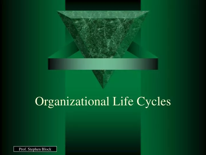 PPT - Organizational Life Cycles PowerPoint Presentation, free download ...