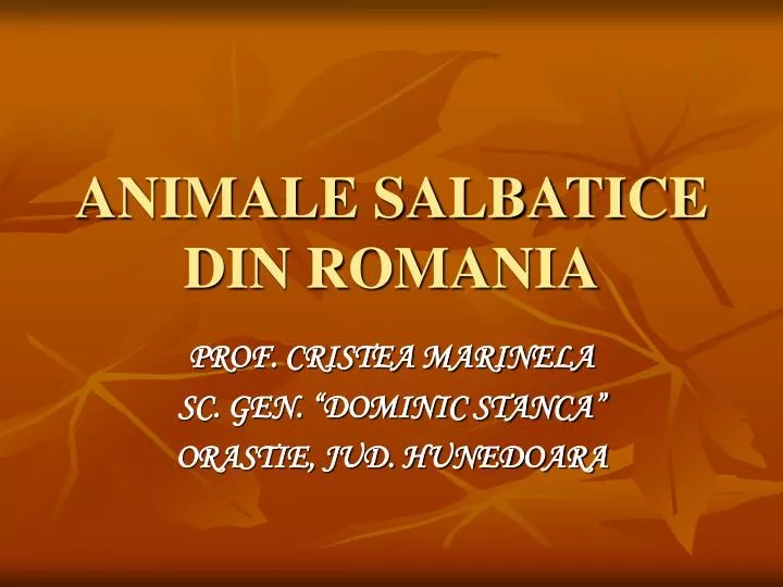 PPT - ANIMALE SALBATICE DIN ROMANIA PowerPoint Presentation, free ...