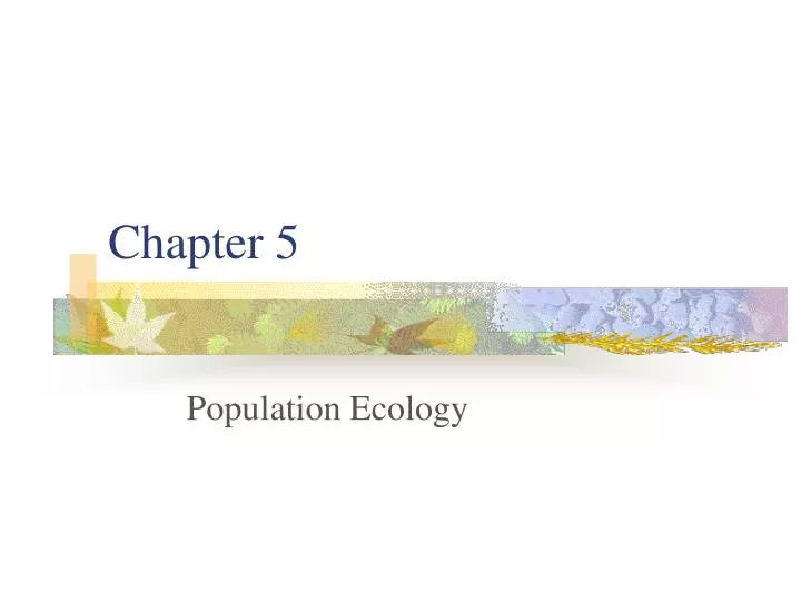 PPT - Chapter 5 PowerPoint Presentation, free download - ID:866584