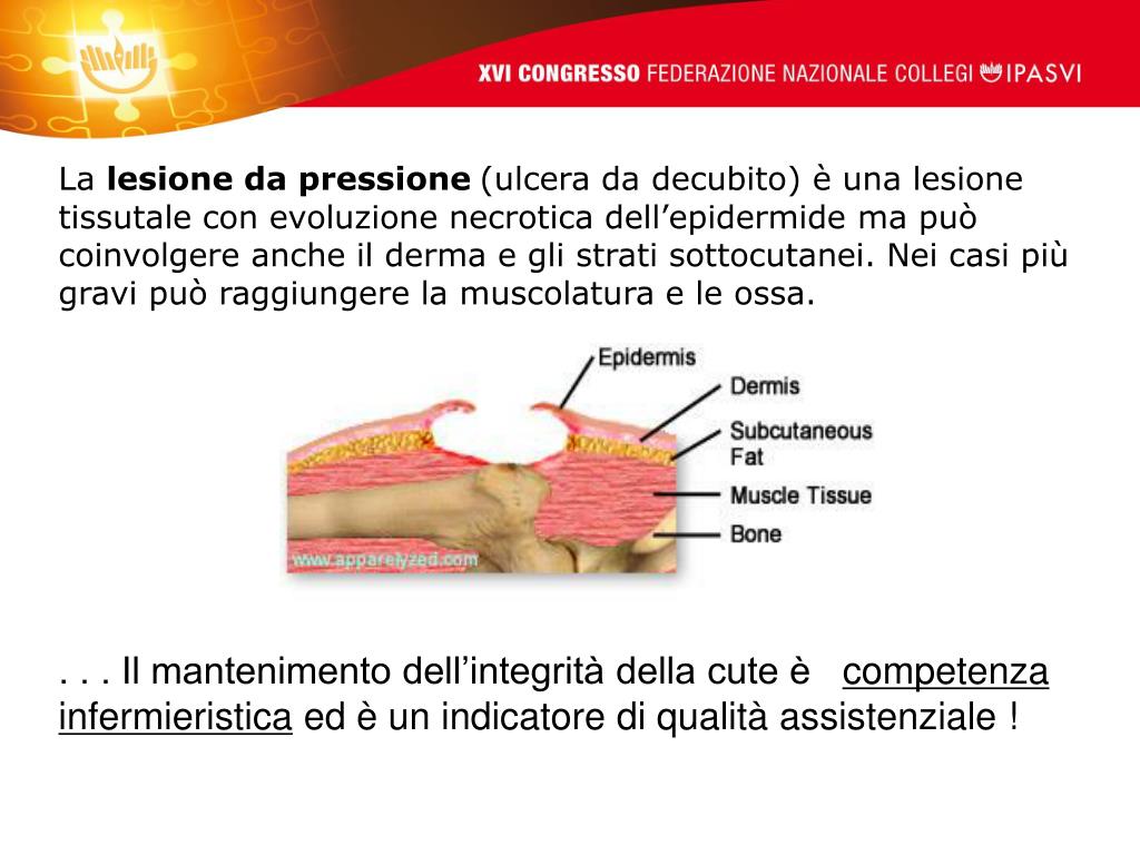 PPT - Maria Grazia, Diana Barile PowerPoint Presentation, free download ...