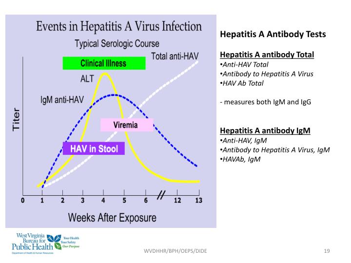 Hepatitis A Ab Total Reactive Quest