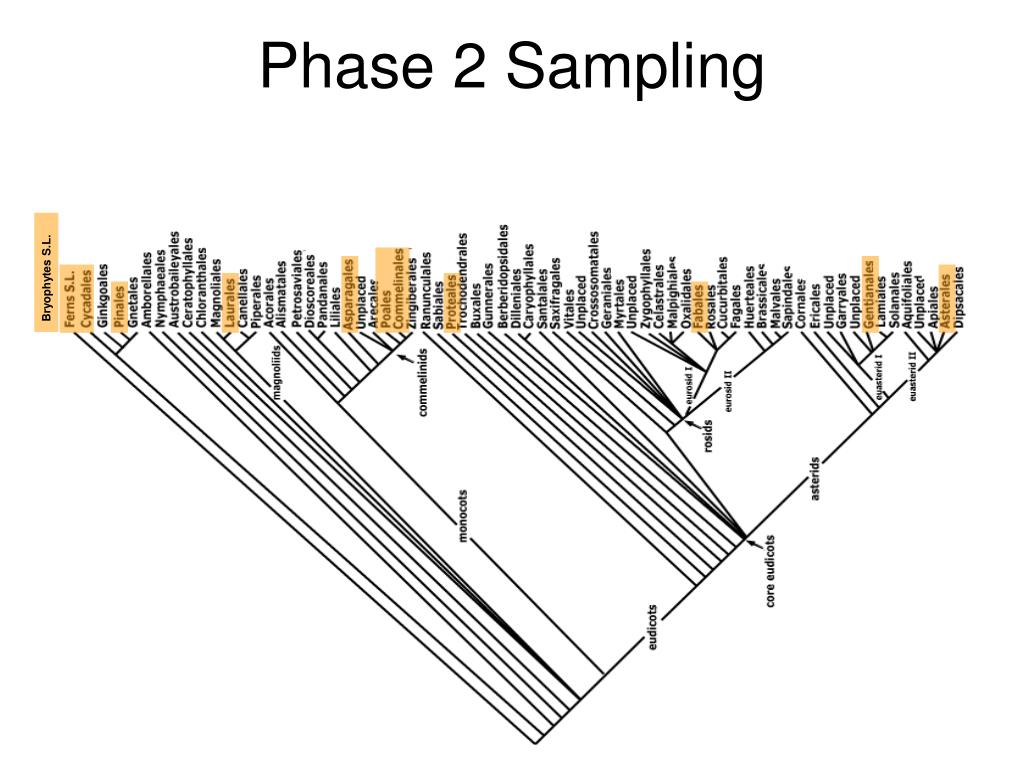 PPT - Establishing a DNA Barcode for Land plants PowerPoint ...