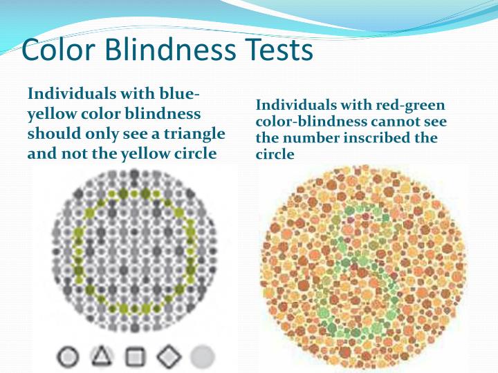 PPT - Human Color Perception PowerPoint Presentation - ID:867806
