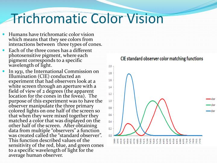 PPT - Human Color Perception PowerPoint Presentation - ID:867806