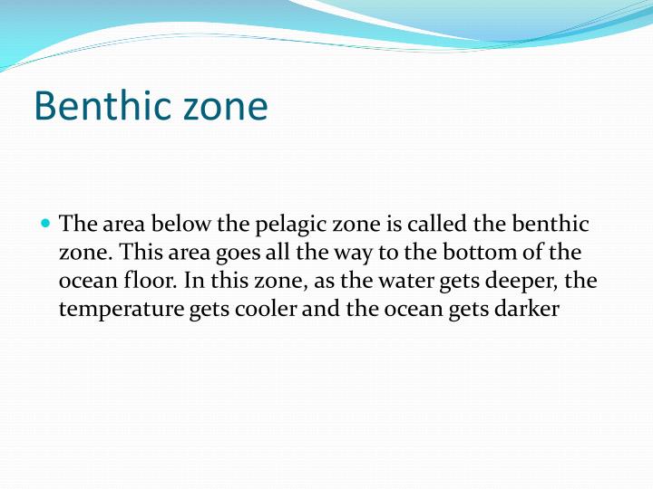 PPT - Marine Biomes PowerPoint Presentation - ID:867847