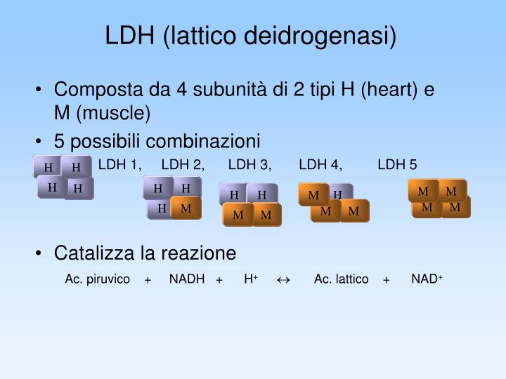 PPT - Enzimi in Biochimica Clinica PowerPoint Presentation - ID:867974