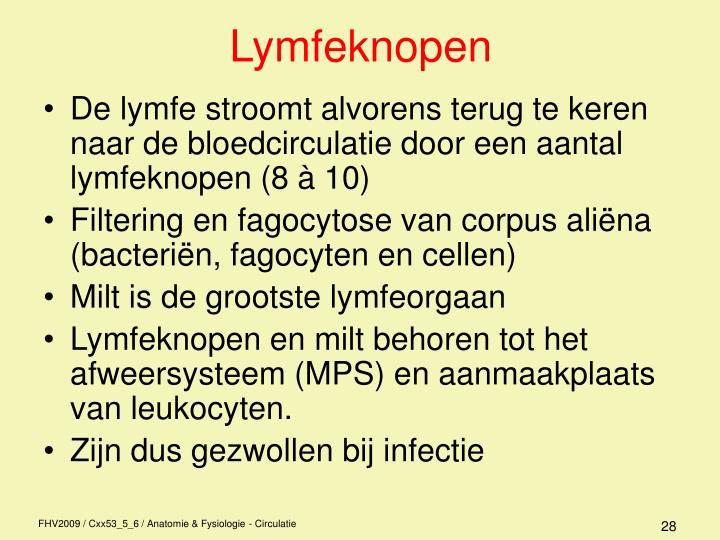PPT - Anatomie / fysiologie PowerPoint Presentation - ID:868357