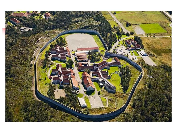 PPT - BERGEN FENGSEL PowerPoint Presentation, free download - ID:868812