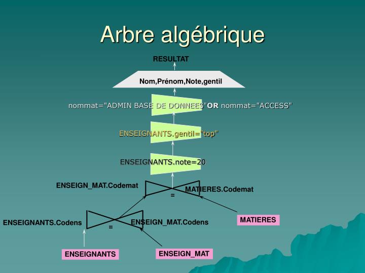 PPT - Cours 4: Optimisation & Normalisation PowerPoint Presentation ...