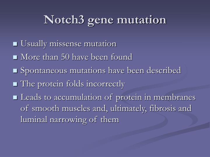 PPT - CADASIL PowerPoint Presentation - ID:870412